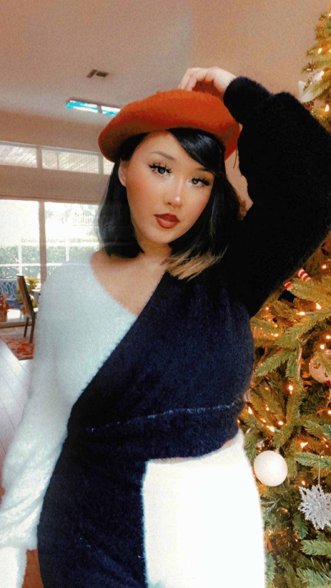 Vietnamese X Mexican Scrolller