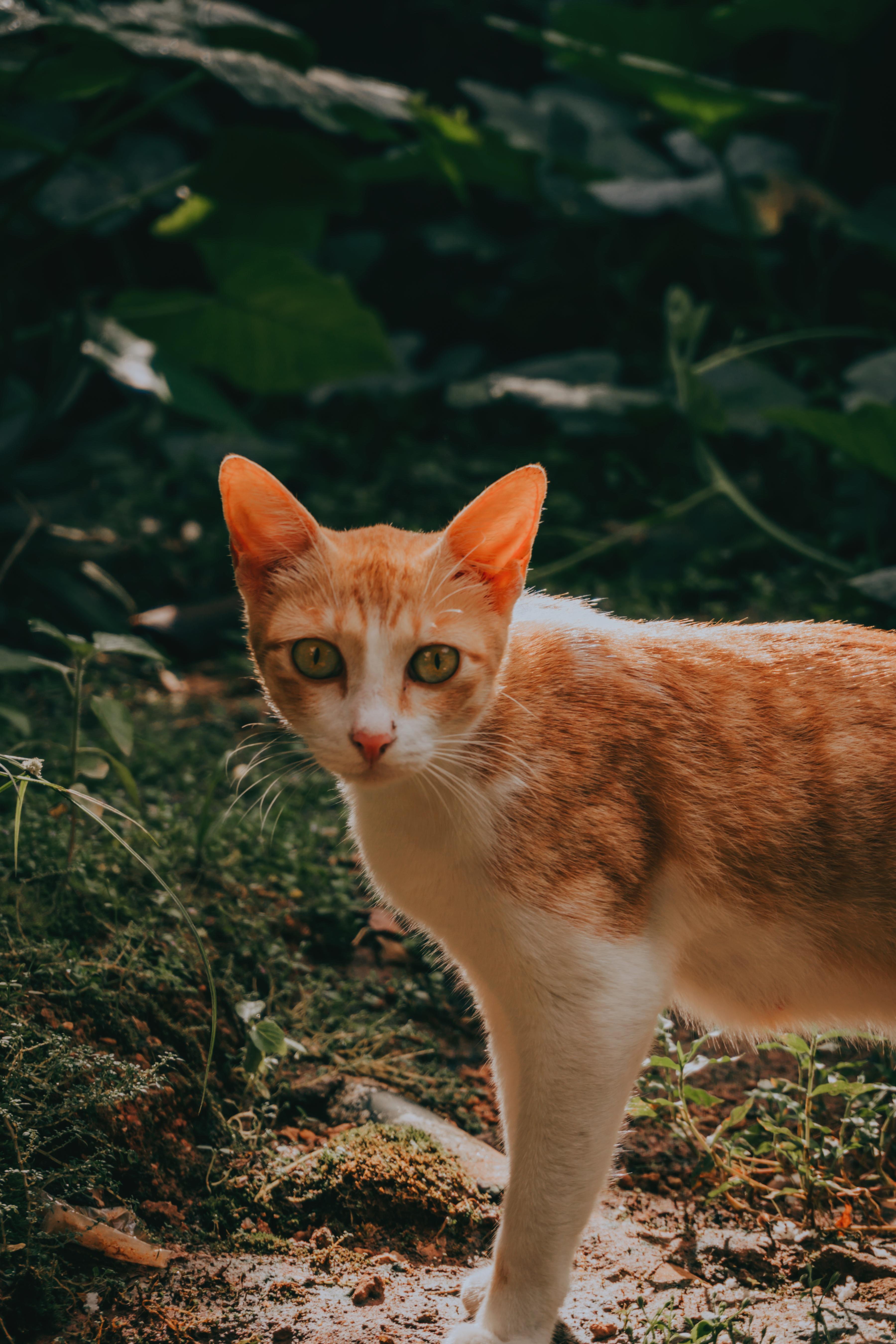 Visitor. | Scrolller