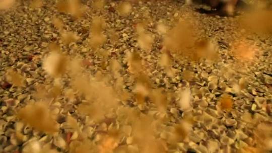 Viva Bianca in Spartacus | Scrolller