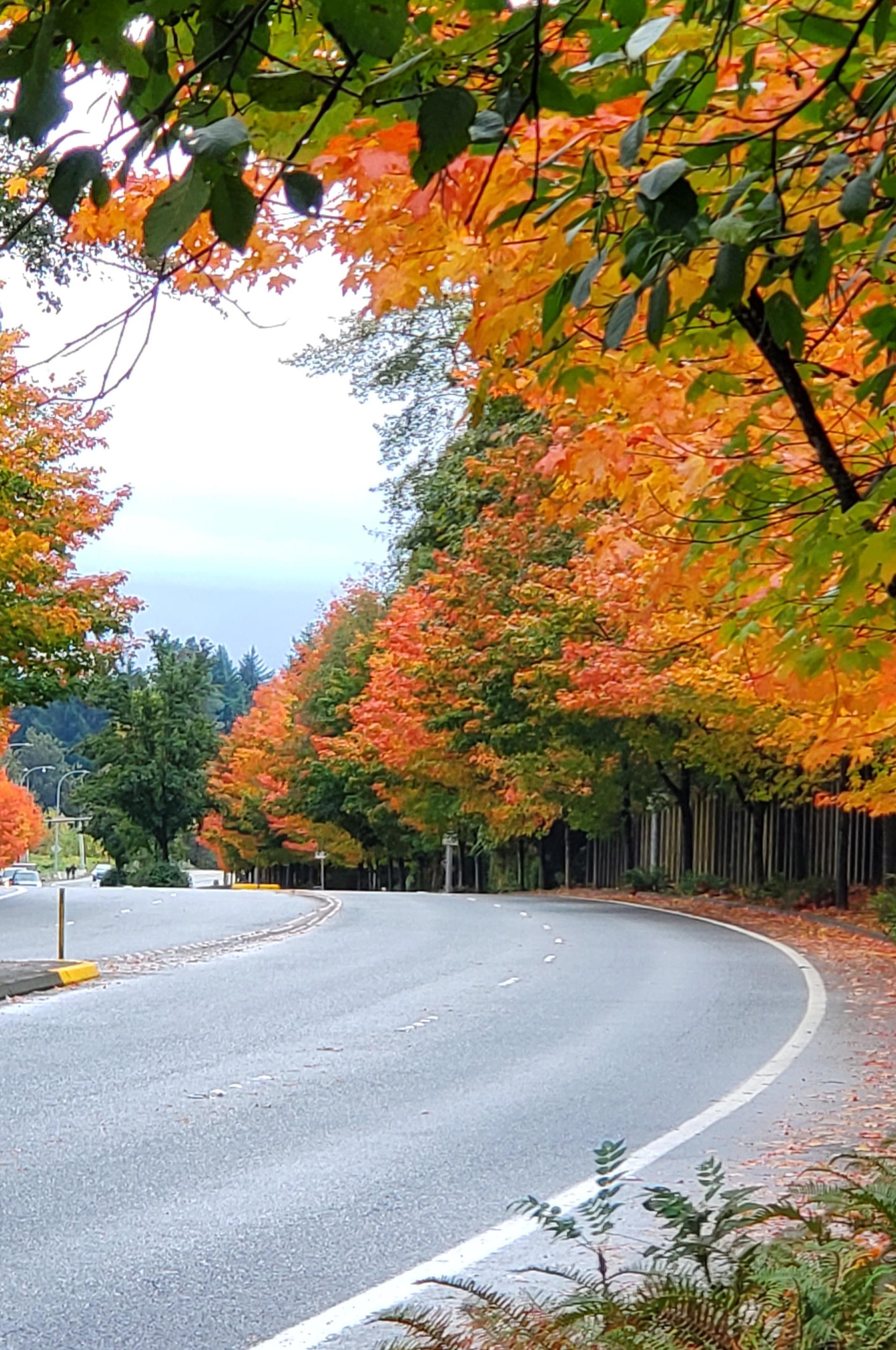 Wa State | Scrolller