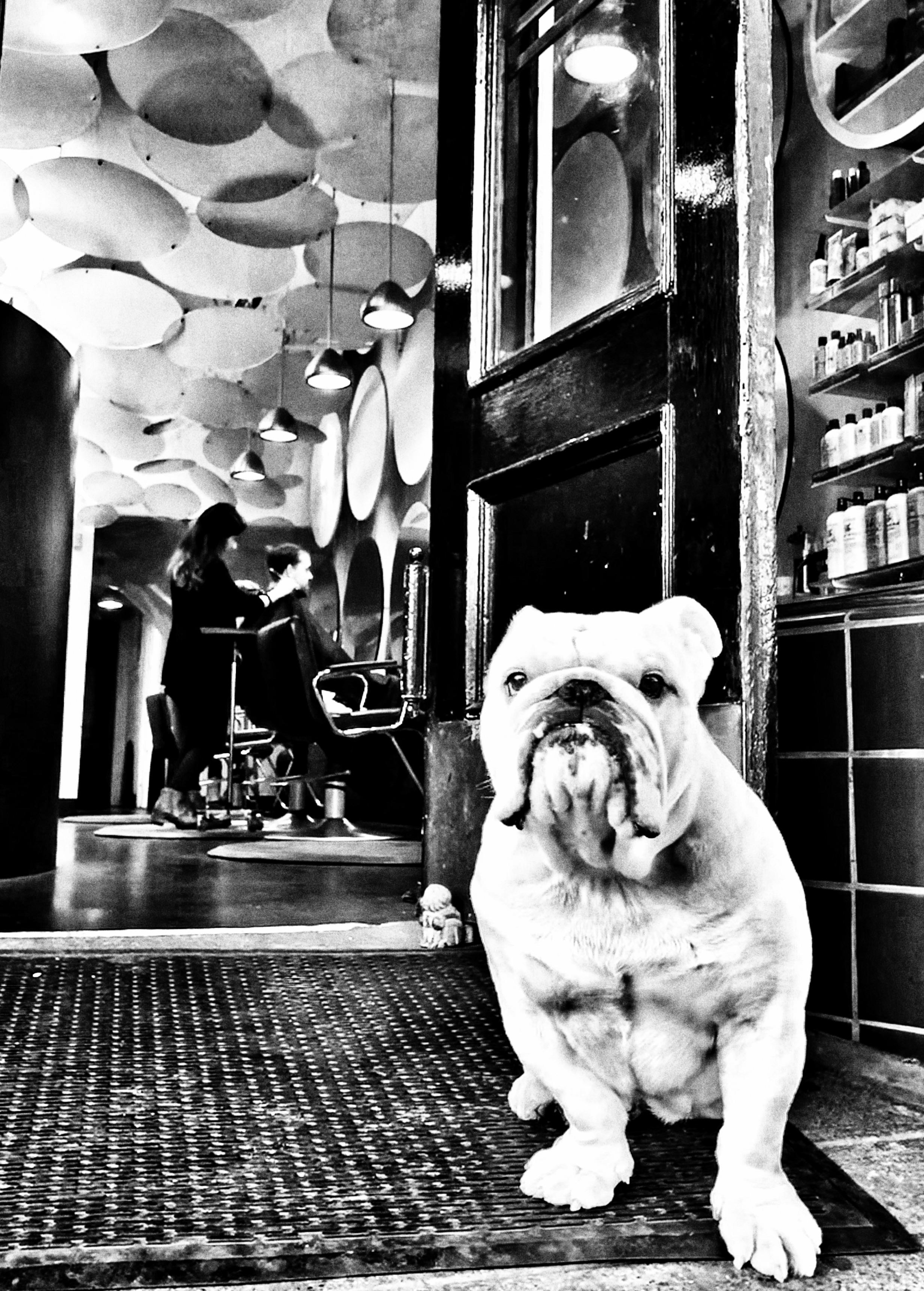 Waiting Patiently Scrolller