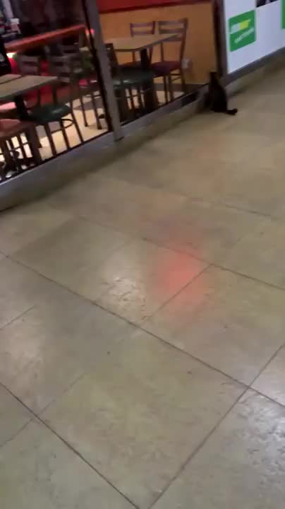 Wanting Subway | Scrolller