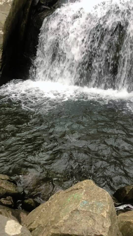 Waterfall blowjob | Scrolller