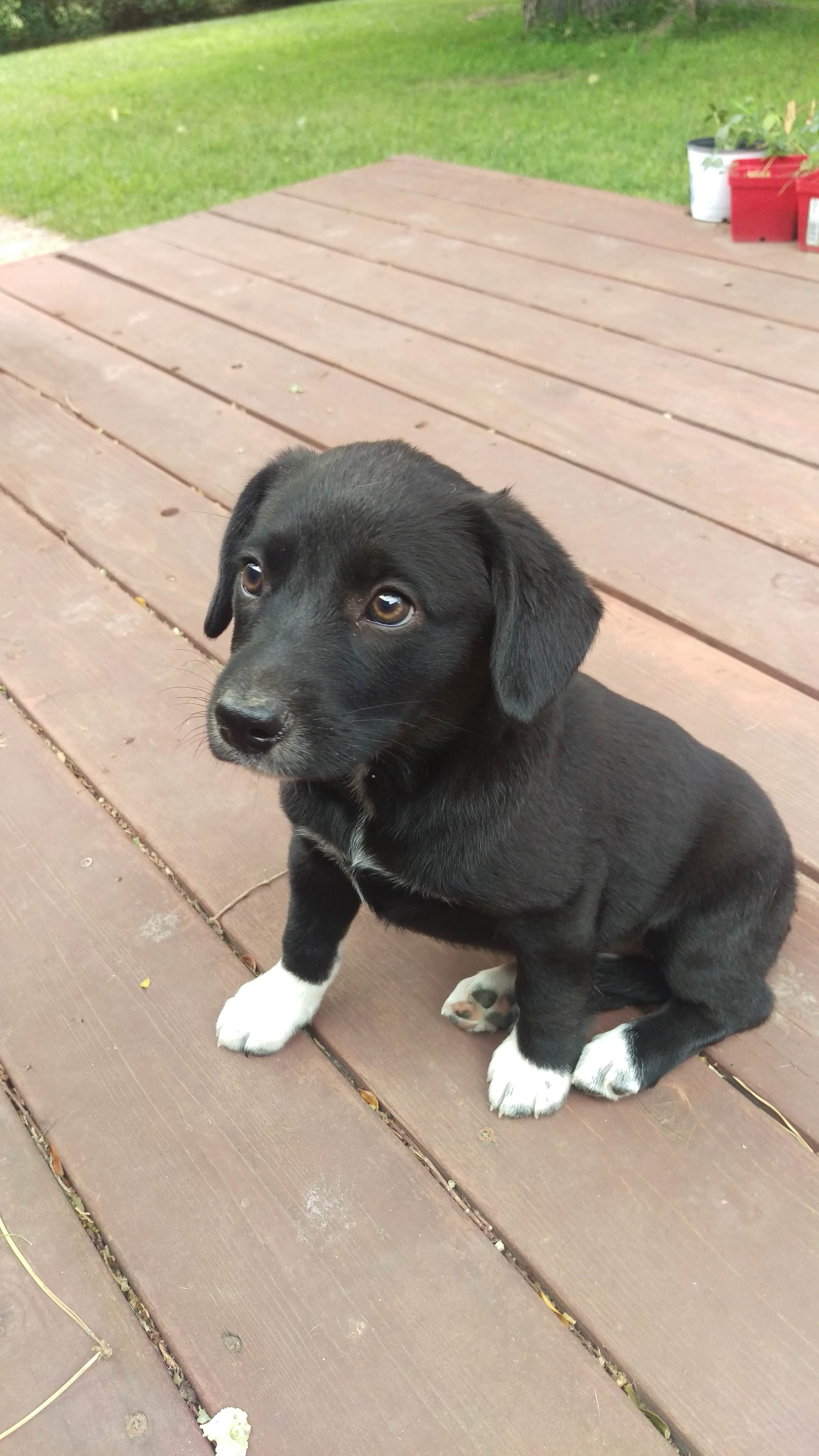 Wearing a tuxedo and sport socks | Scrolller