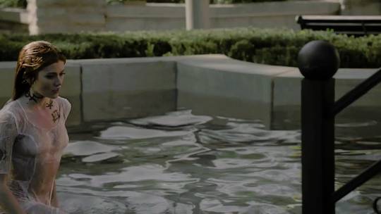 Wet Clary in Slow Motion | Scrolller