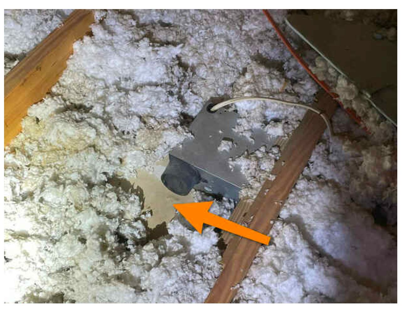 what is this in the attic? | Scrolller