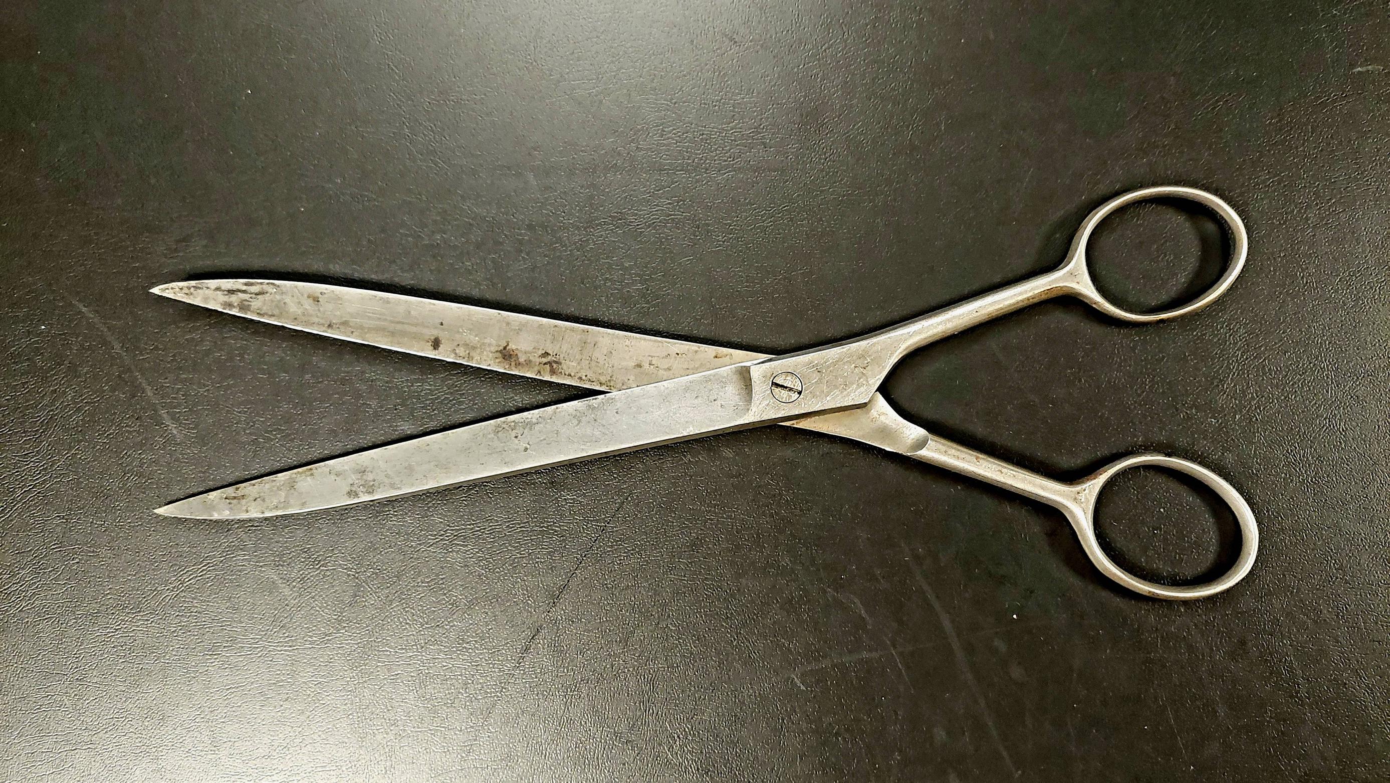 What type of scissors are these? Dress-making? No brand visible. *Adoring* the sound they make ...