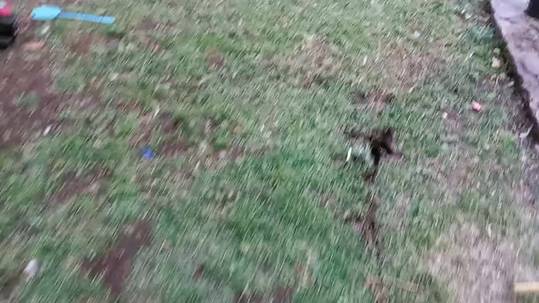 When you're a dumb cunt and Master locks you up | Scrolller