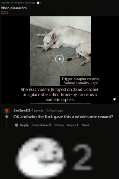 Wholesome 100 | Scrolller