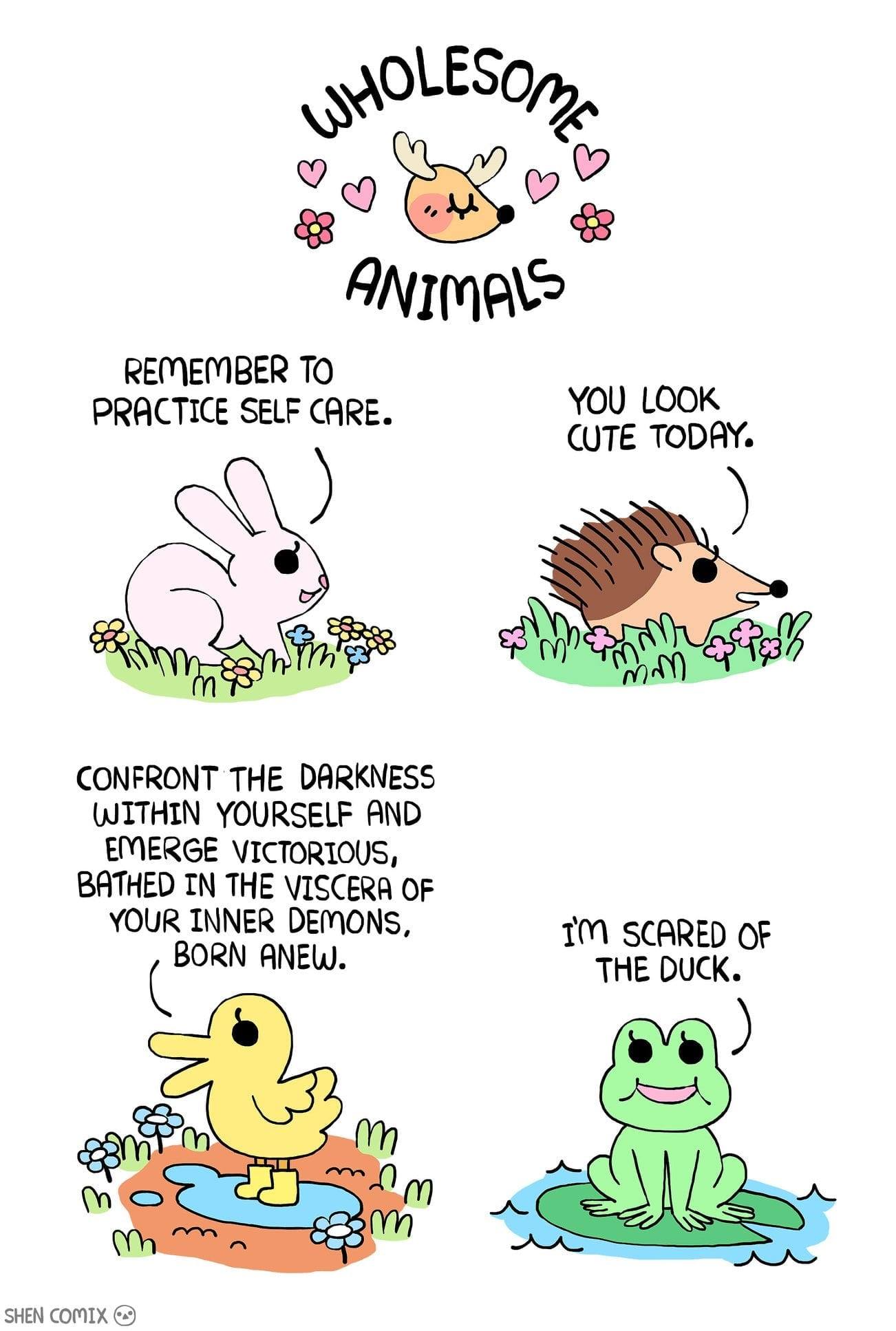 Wholesome Animals | Scrolller