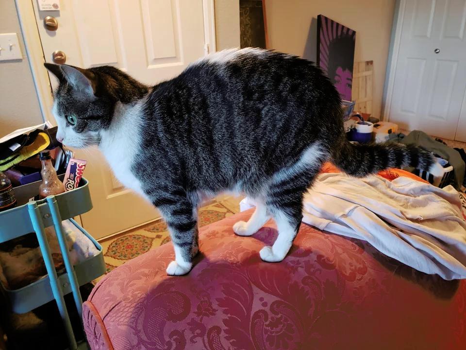 Wholesome level Max | Scrolller