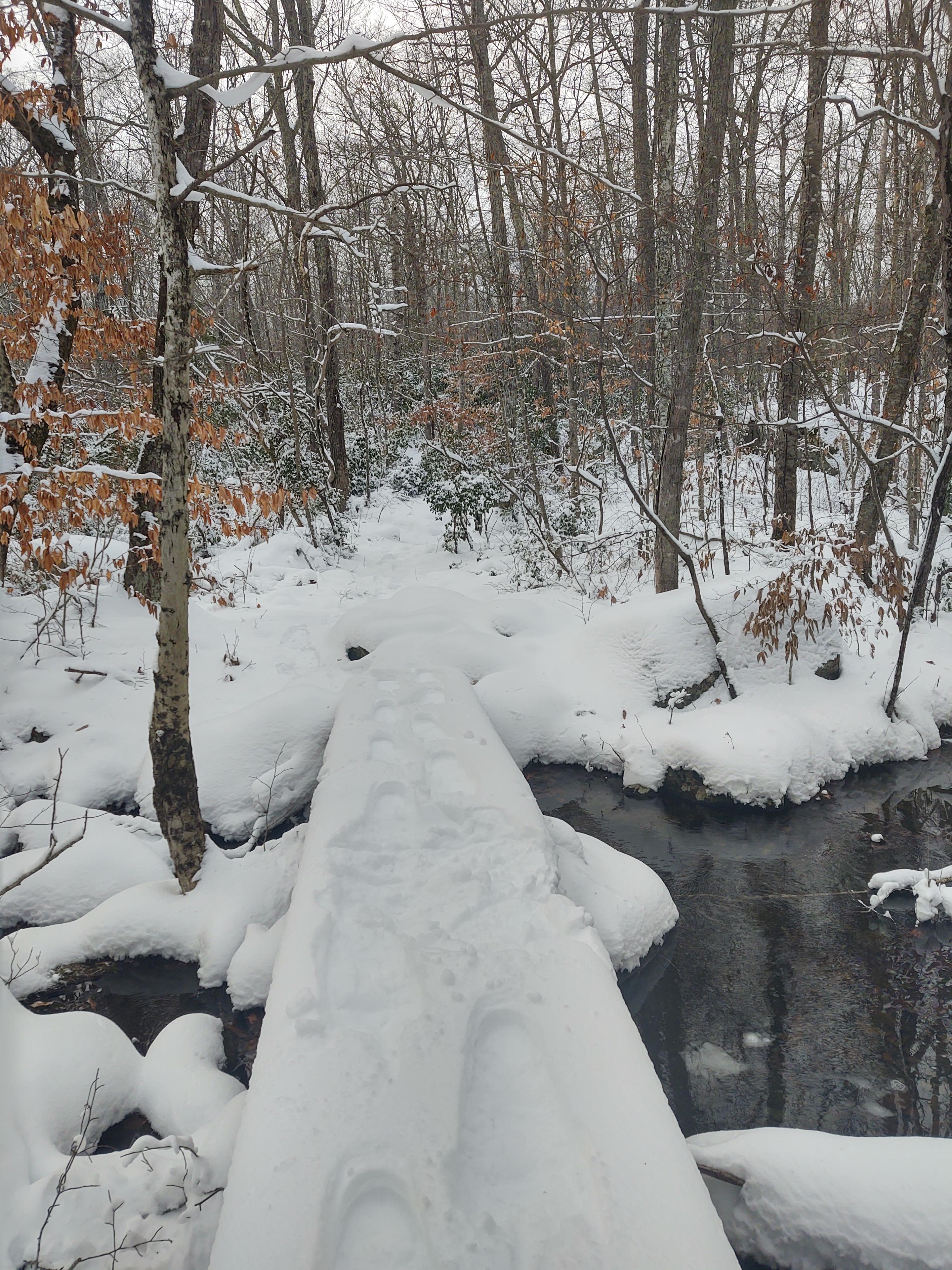 Wilderness Snowshoe | Scrolller
