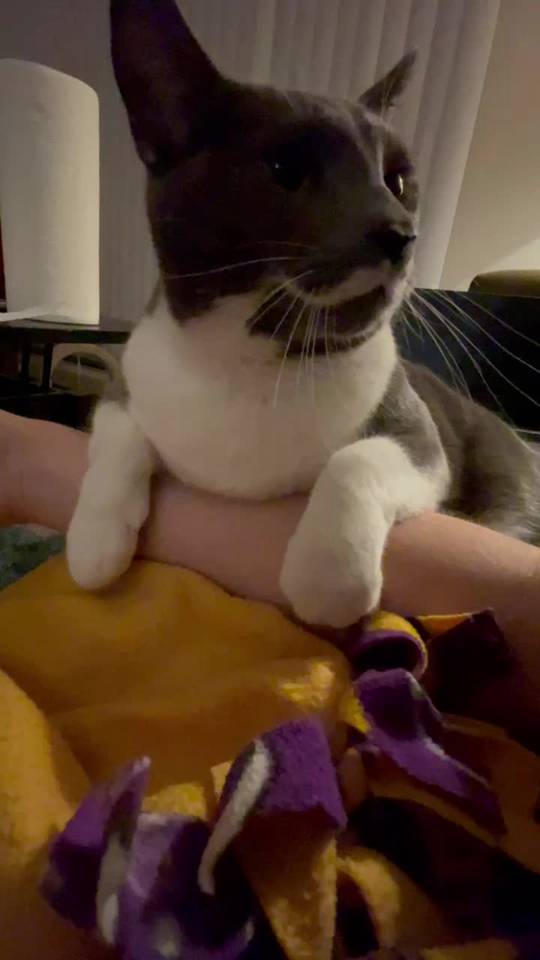 Winston spreading his stuff | Scrolller