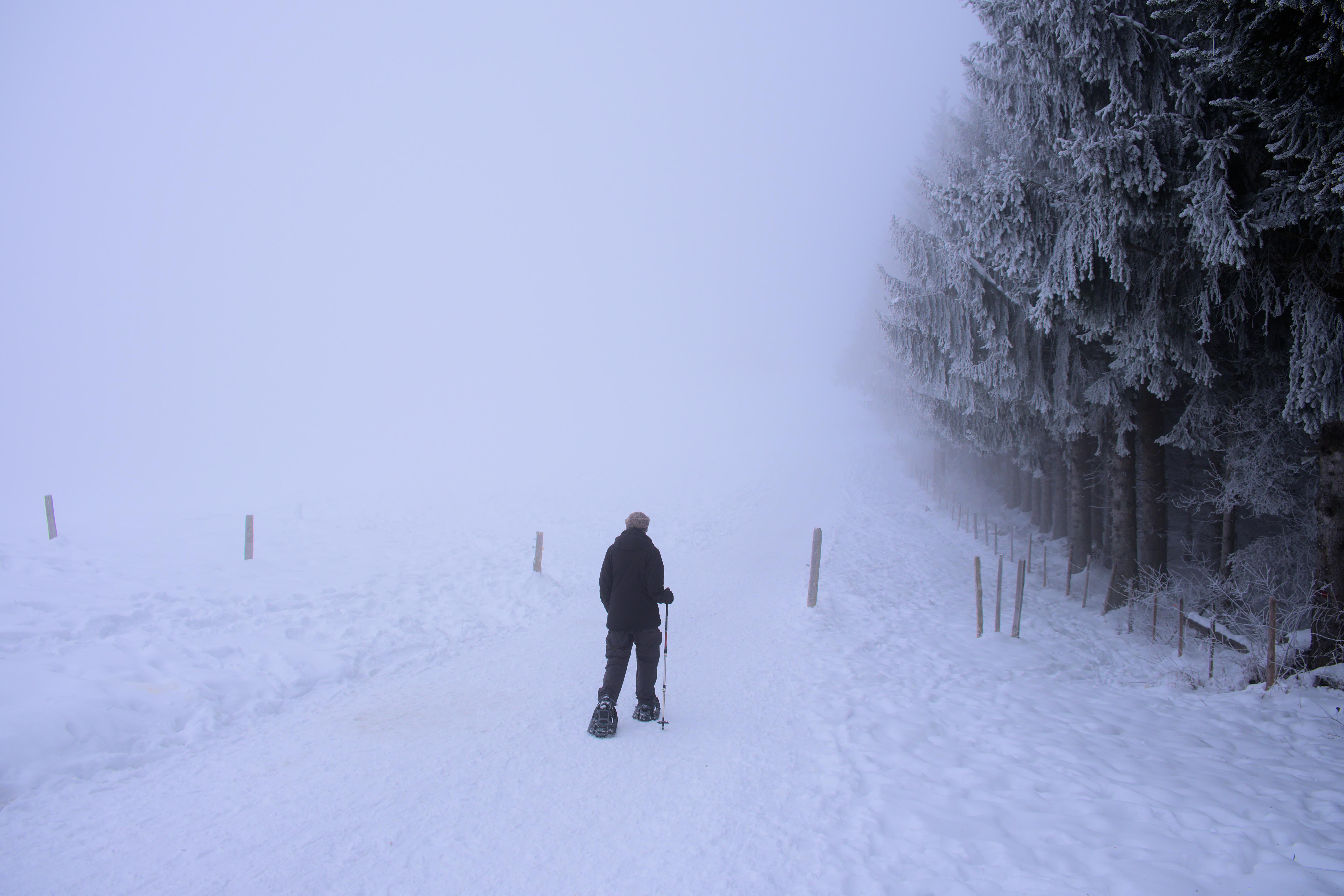 Winter Fog | Scrolller