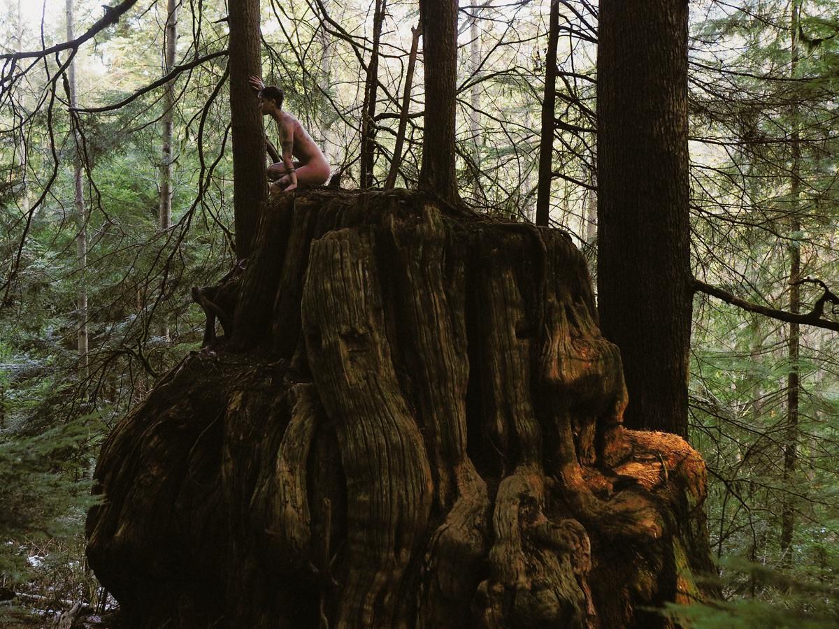 winter log | Scrolller