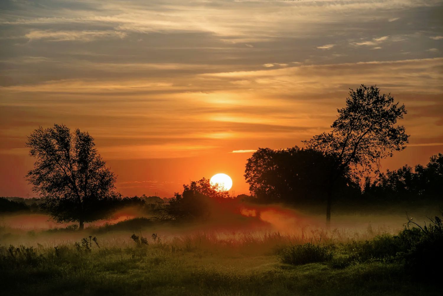 Wonderful sunrise | Scrolller