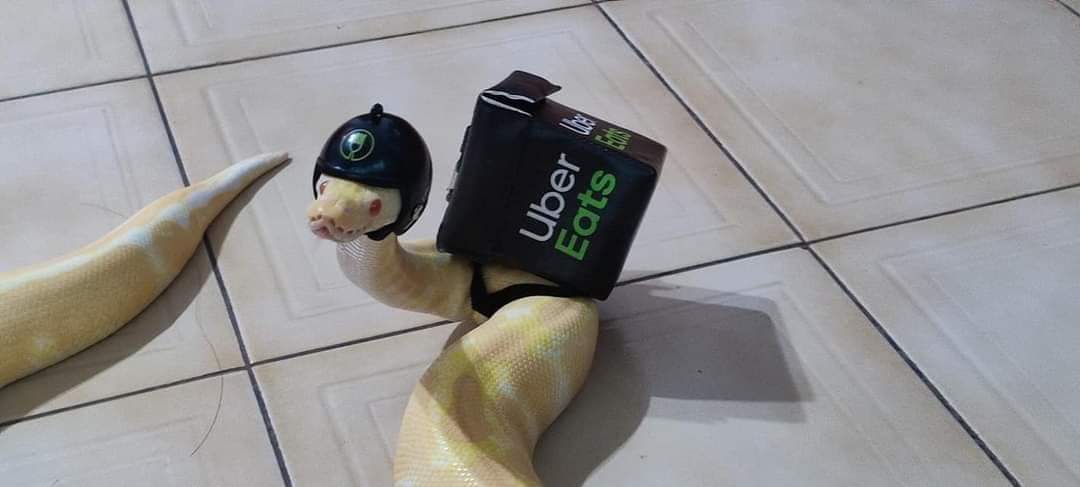 Working boi | Scrolller