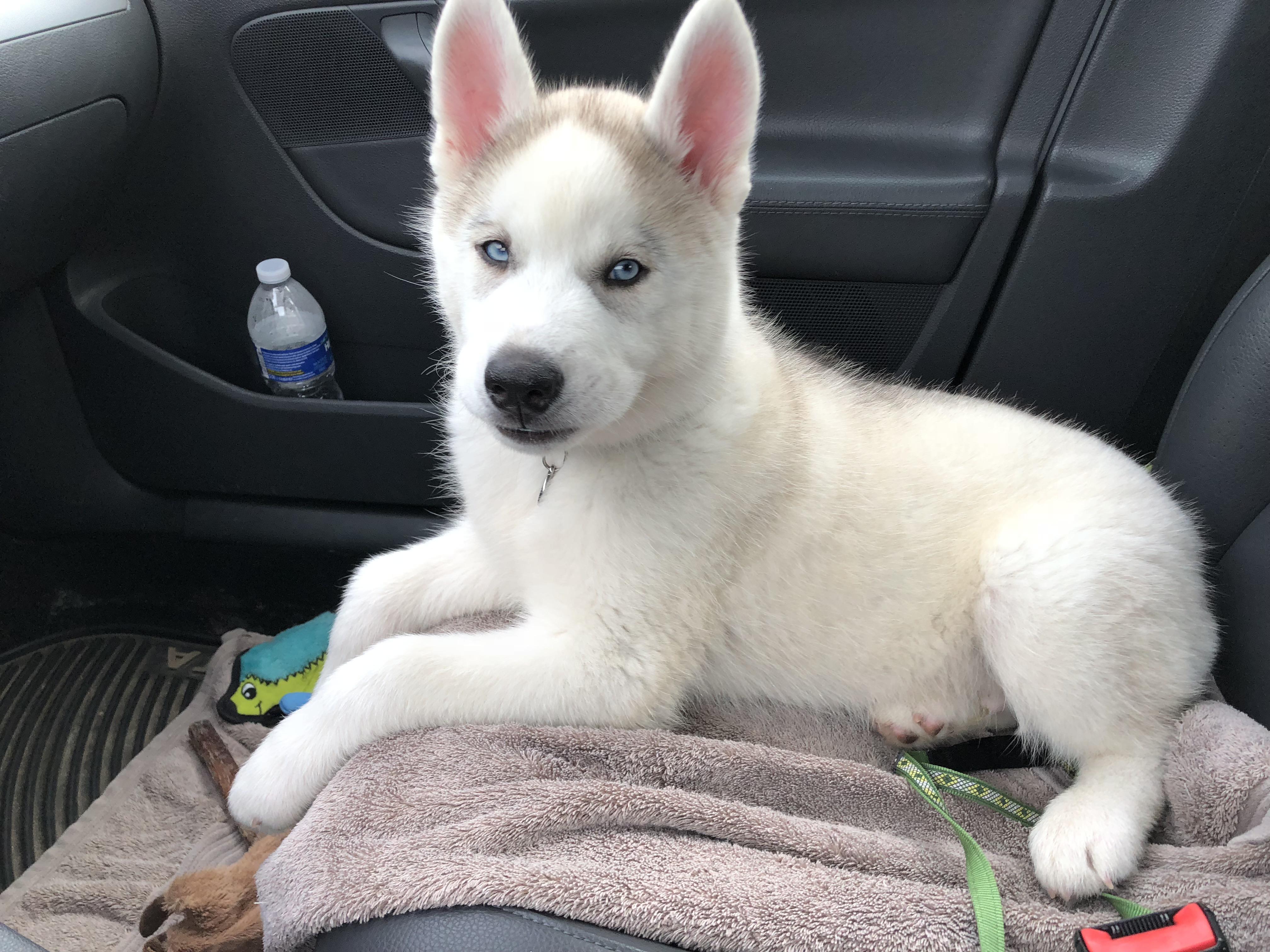 Yoshi boy bringing the sass | Scrolller