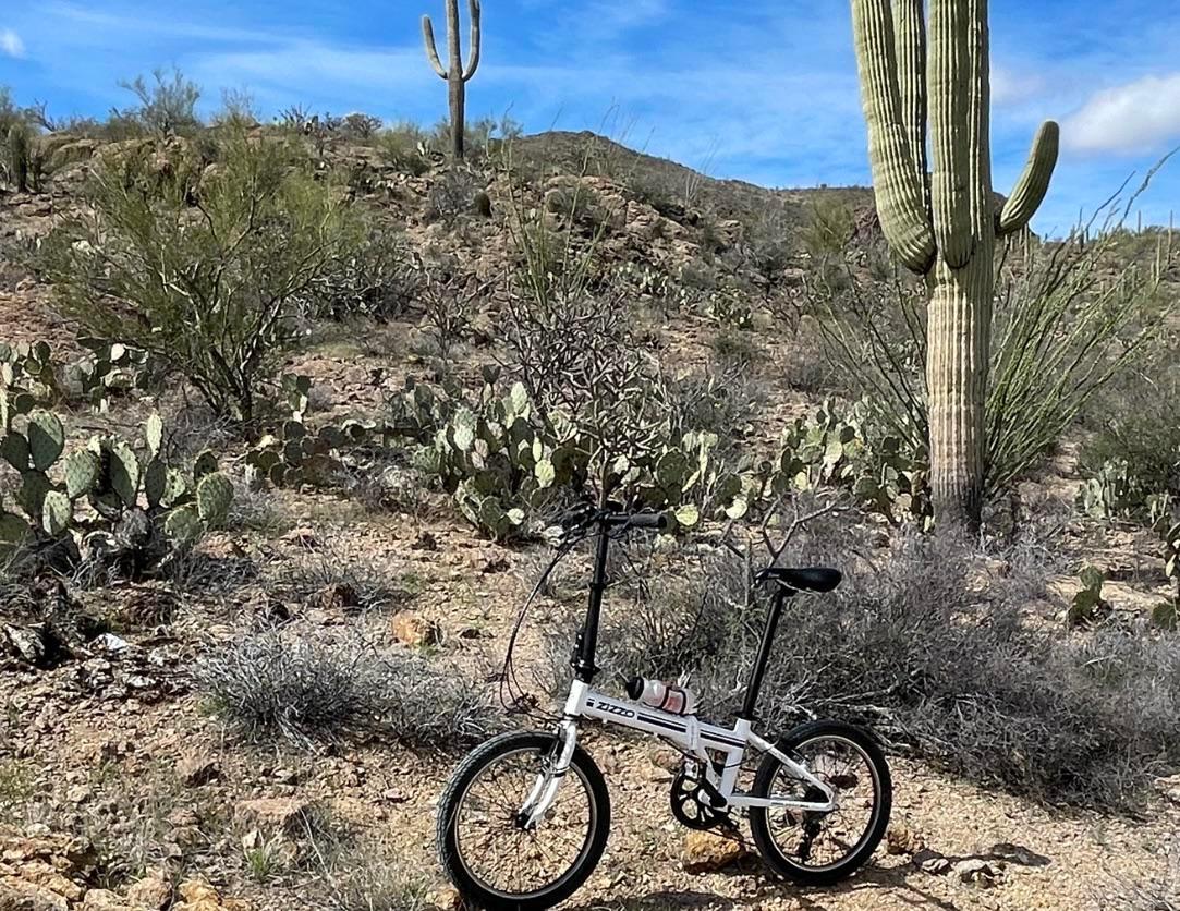 Zizzo Campo survived a day as a mountain bike | Scrolller