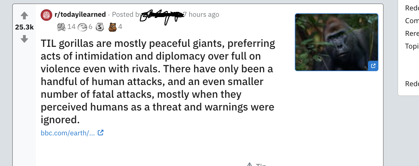 0.o Mostly Peaceful Gorillas? | Scrolller