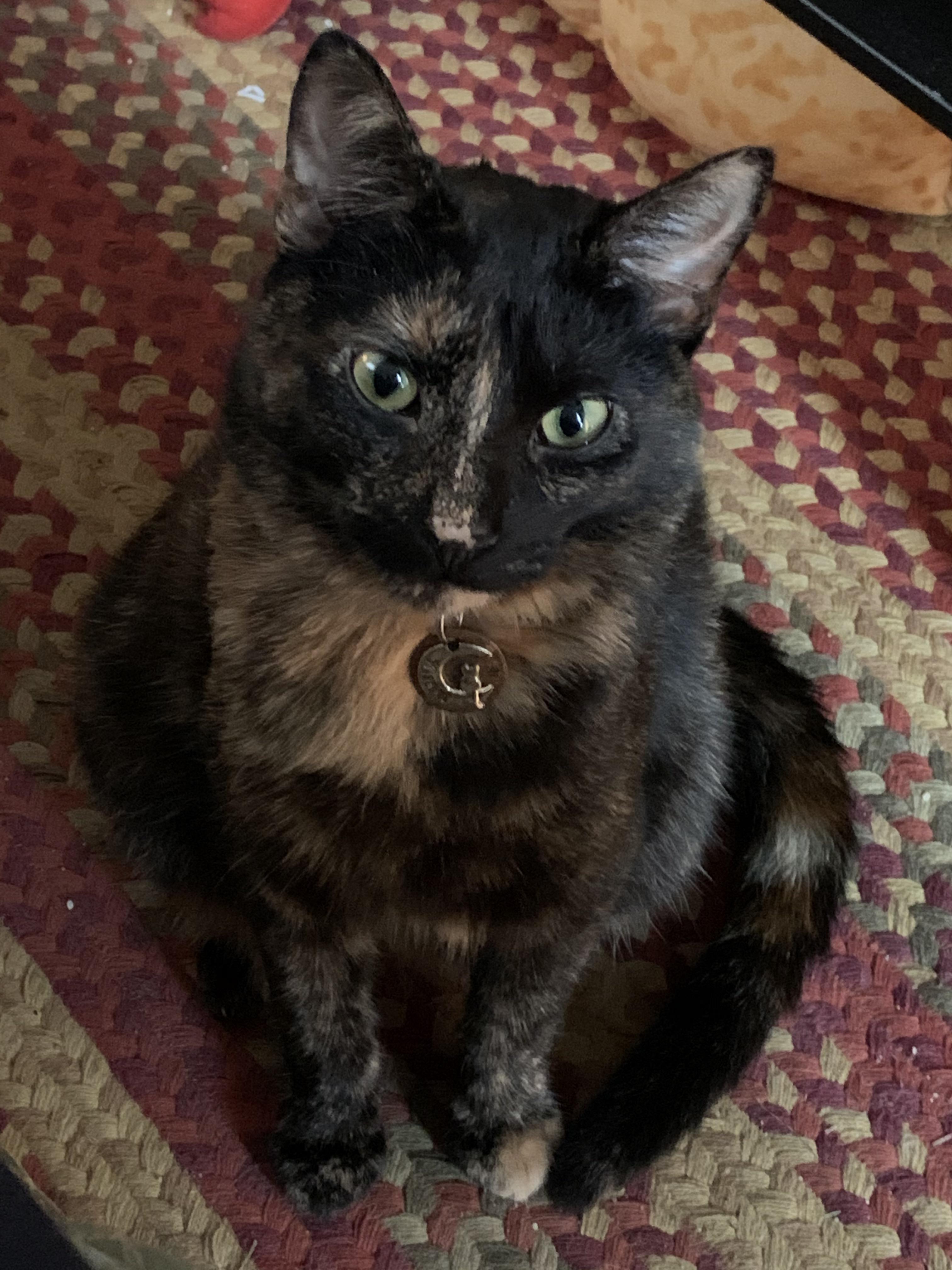 1% evil, 99% hot gas | Scrolller