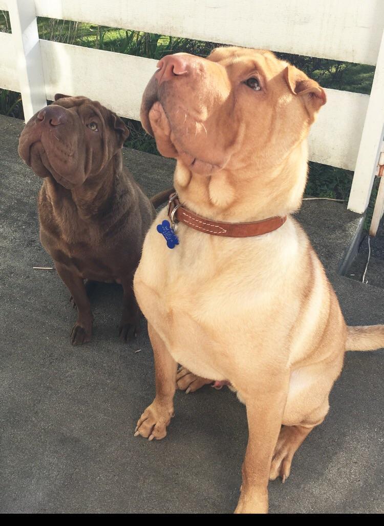 1 Month difference in age 💝 | Scrolller