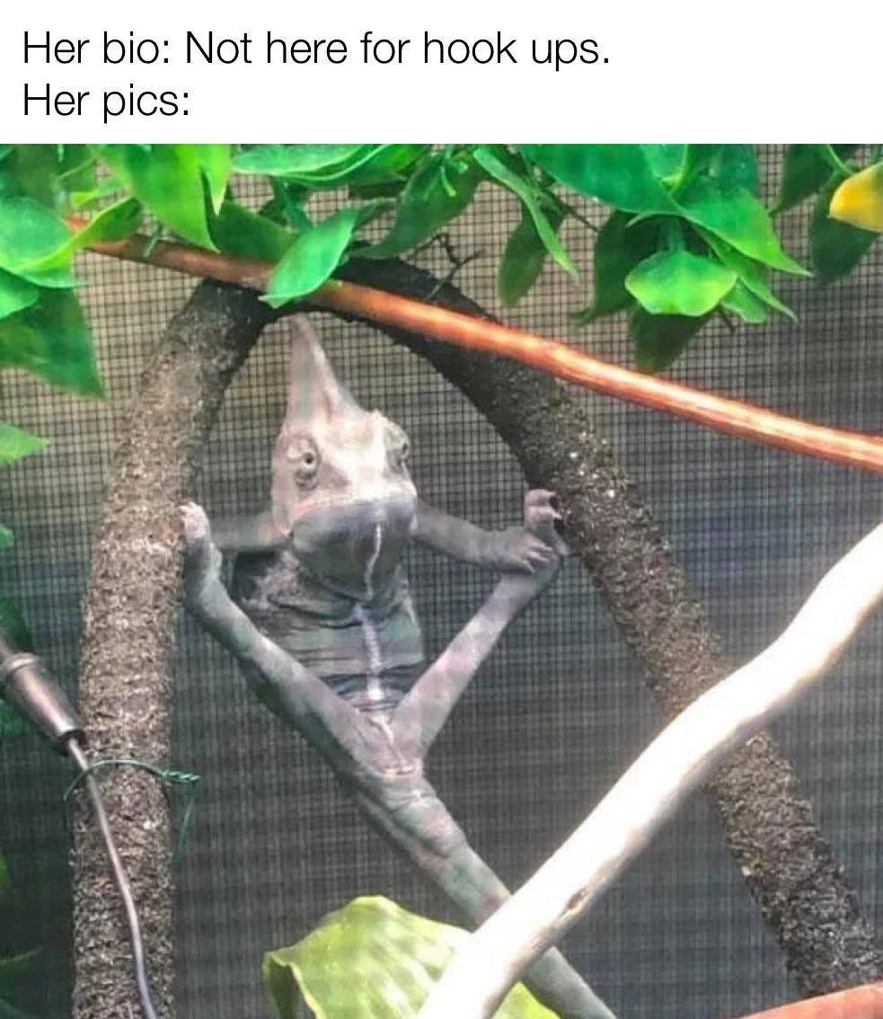 100% accurate. | Scrolller