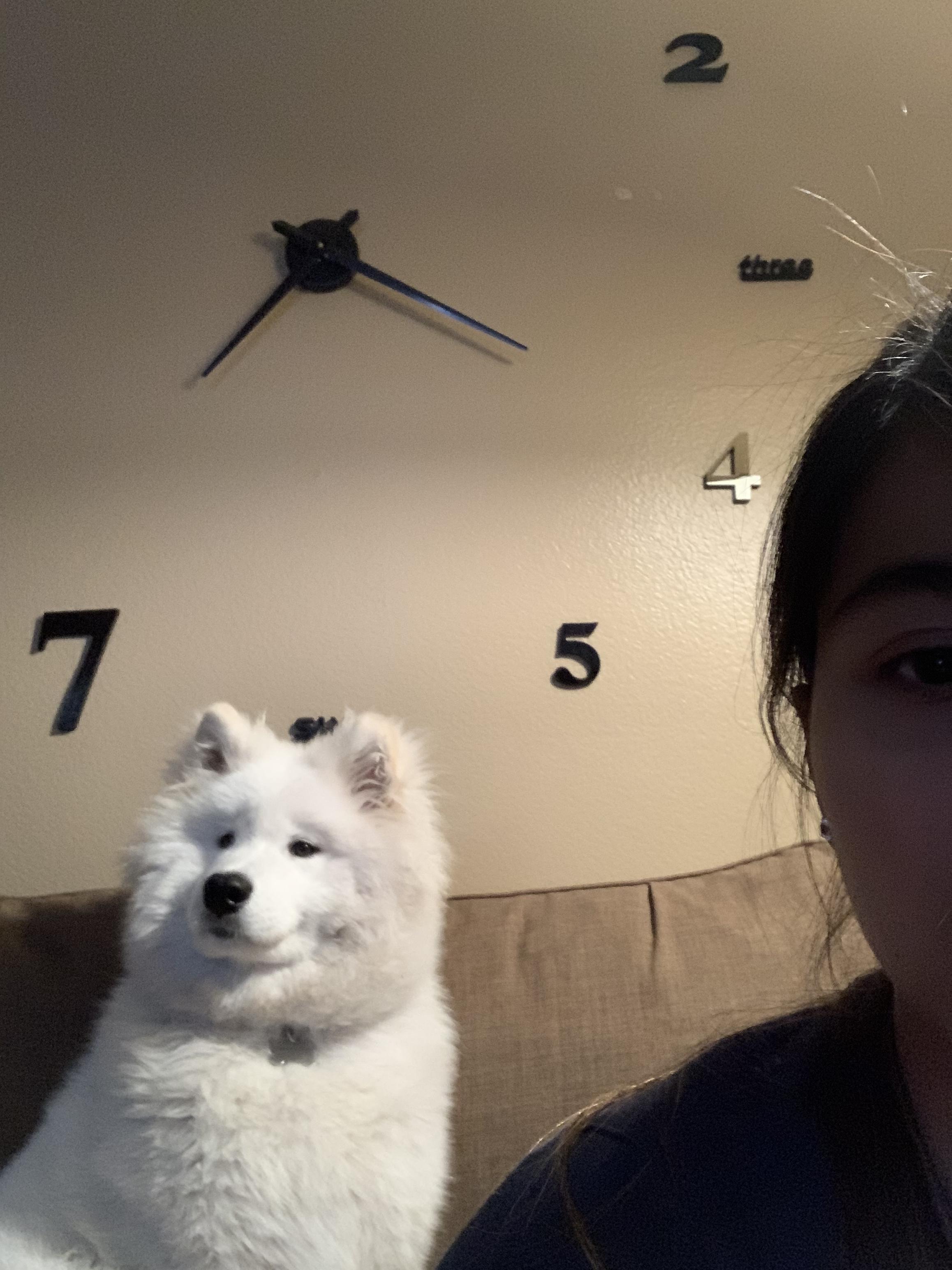 101%focus on watching tv | Scrolller