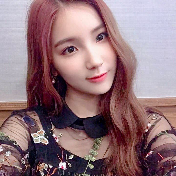180726 Elris Twitter Update | Scrolller