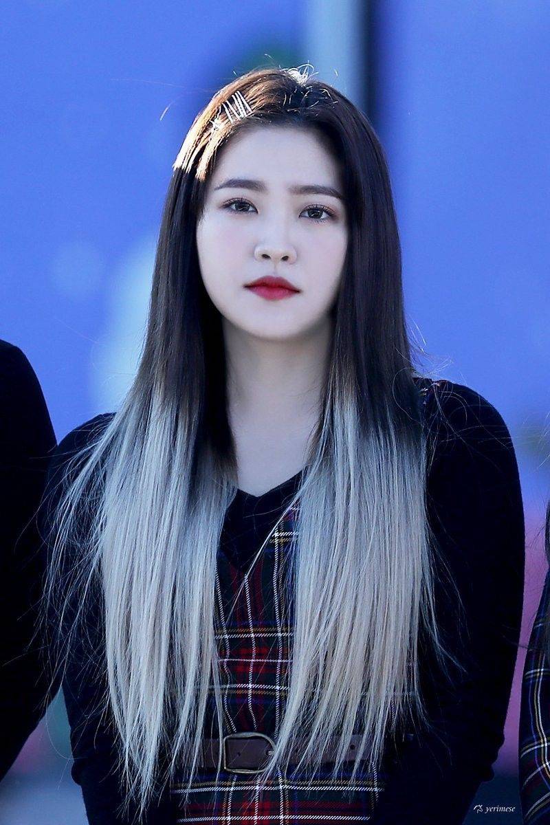 181104 Yeri | Scrolller
