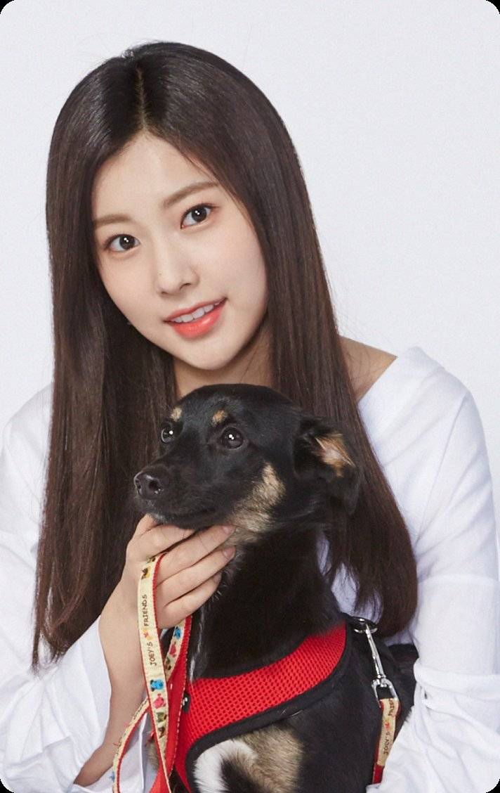 190531 Hyewon - IZ*ONE x GMarket Gift Card #2 | Scrolller