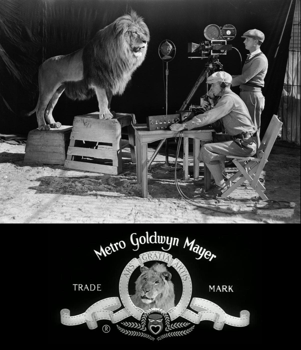 1928 photo showing the recording of Leo the Lion for MGM's famous logo | Scrolller
