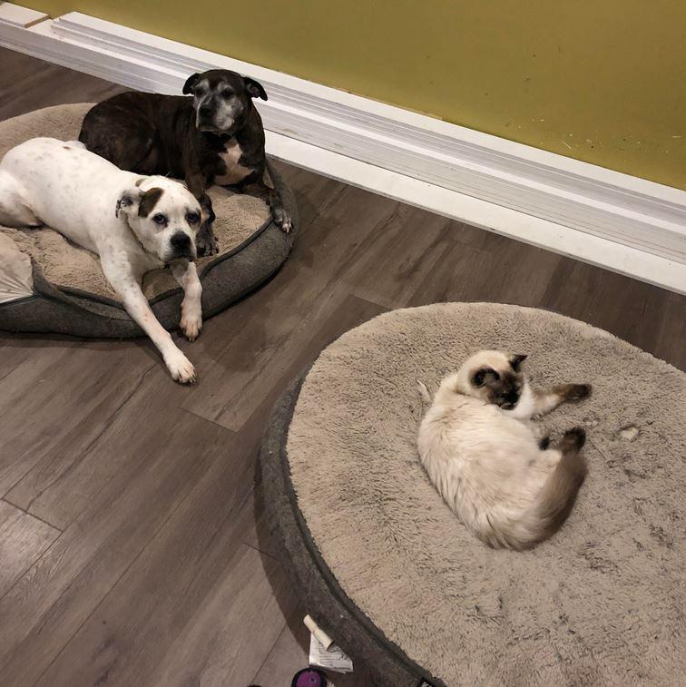 2 victims | Scrolller