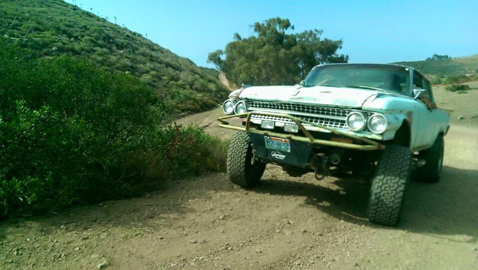 2 years ago in Baja region of Mexico, came across this beast. | Scrolller