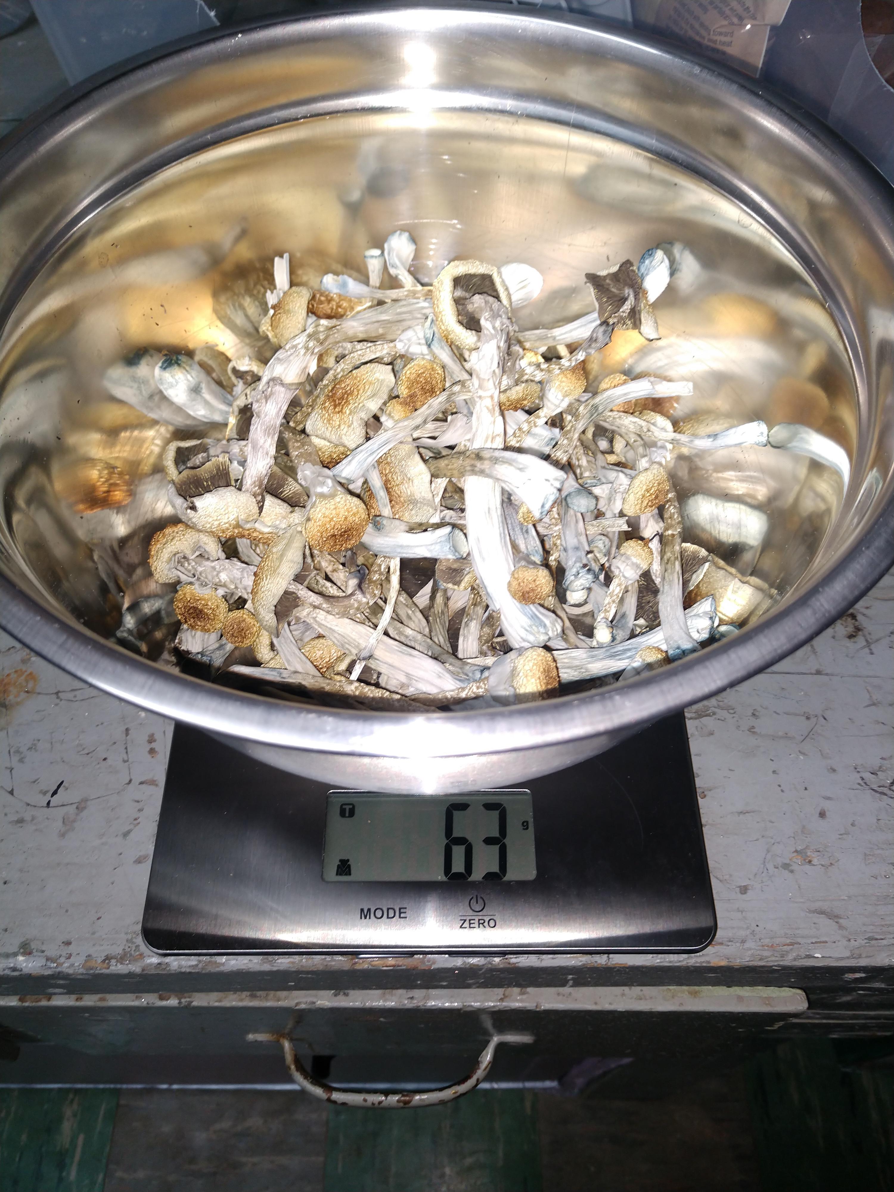 2nd flush dry | Scrolller