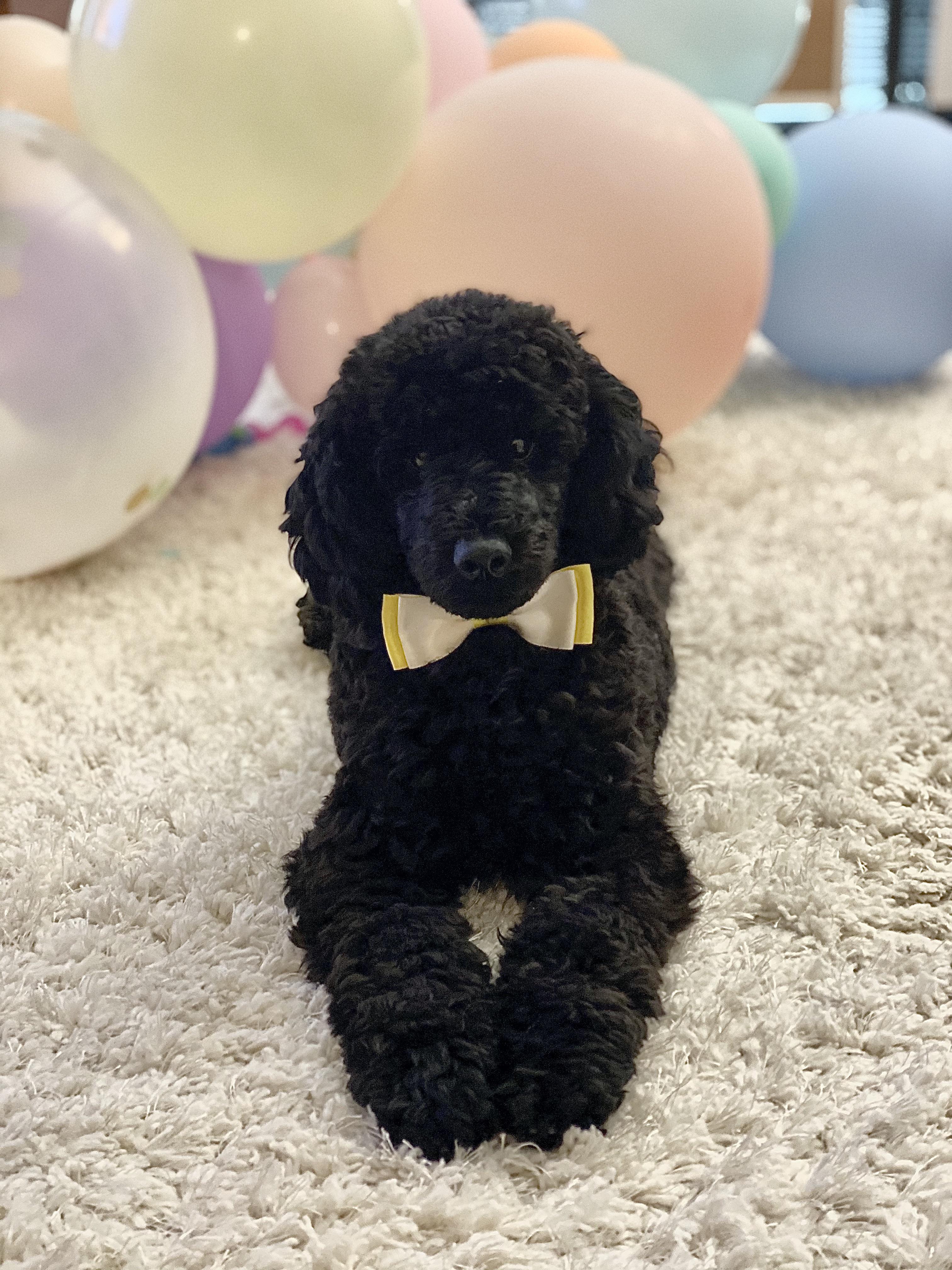 5 Months Today Scrolller