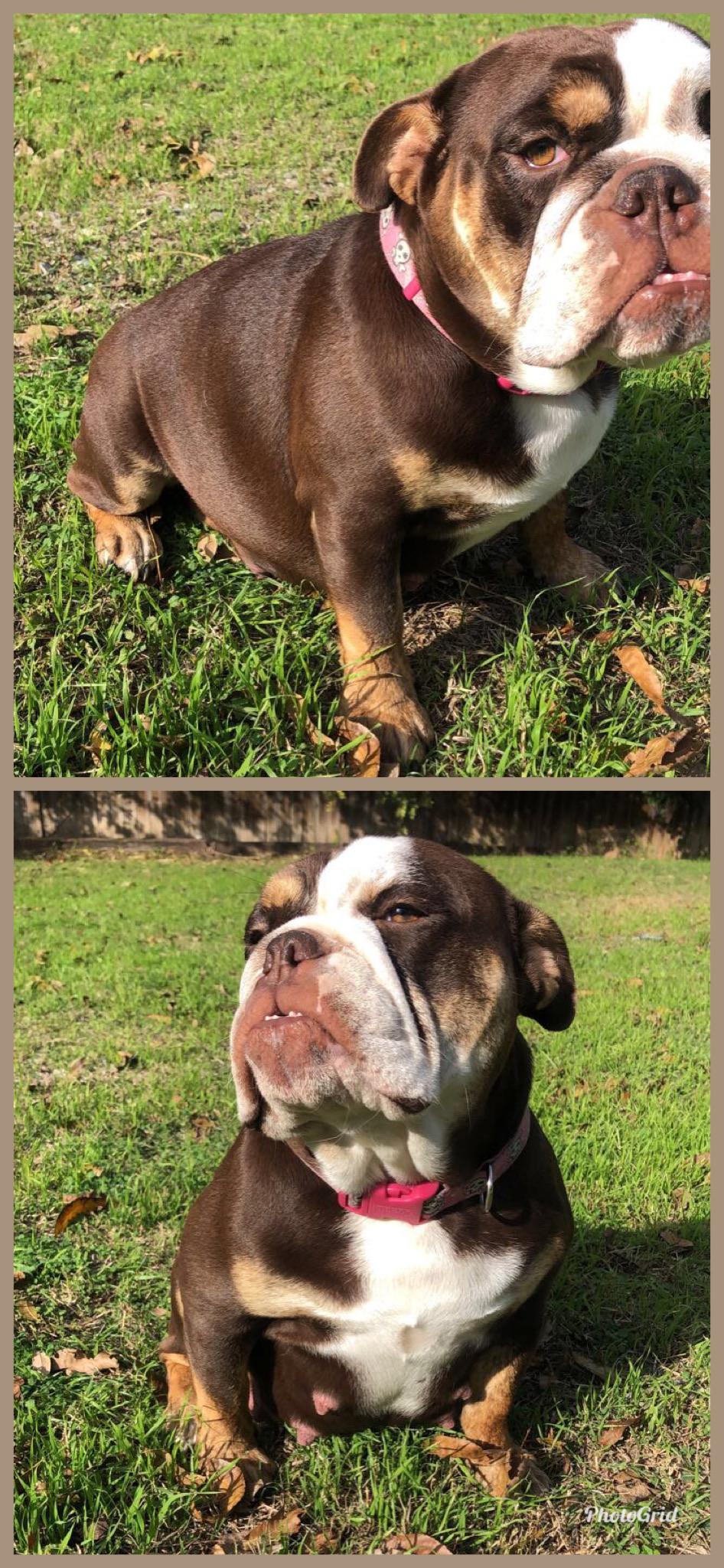 5 more days!!! | Scrolller