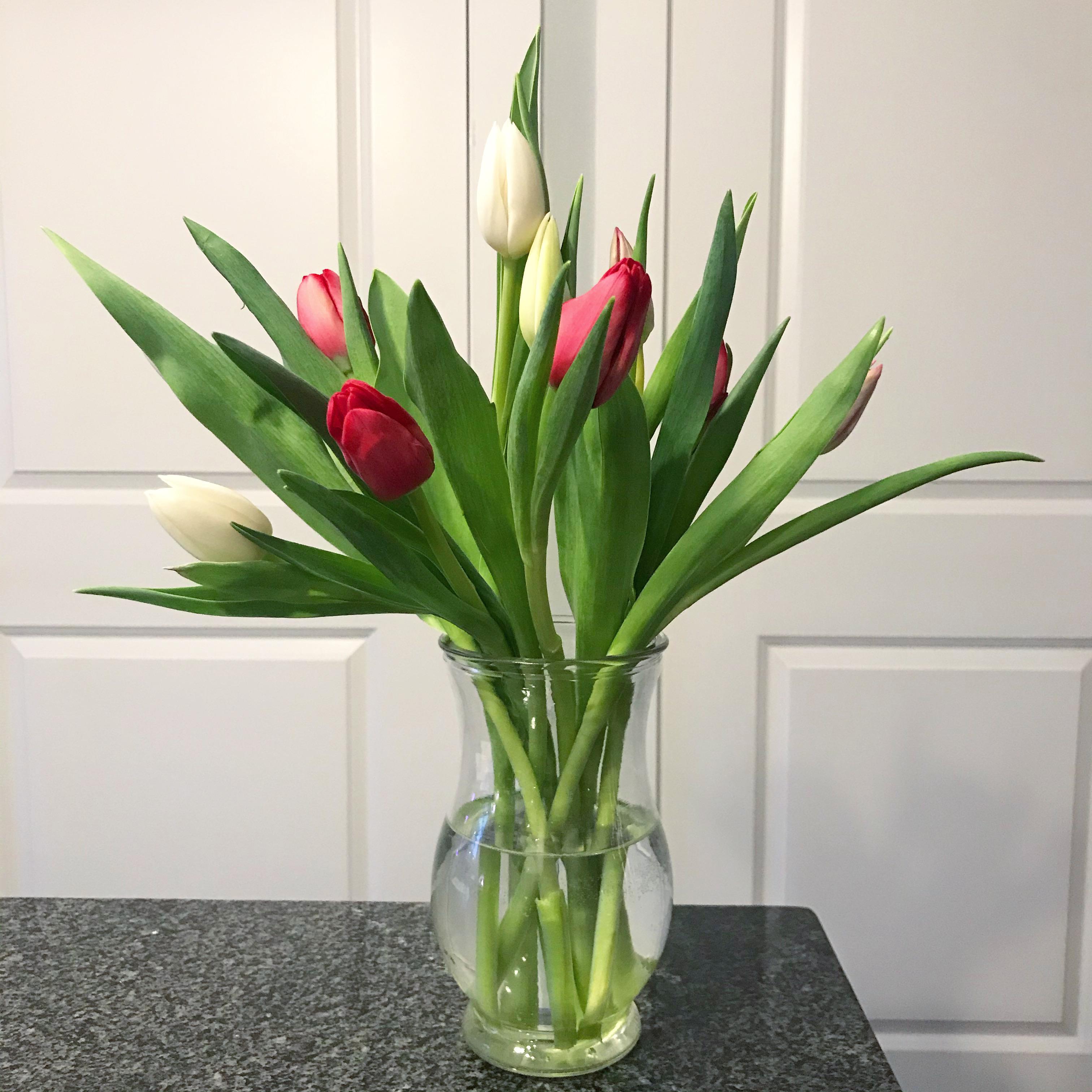 $5 Tulip Bouquets! | Scrolller