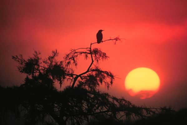 [50/50] A red sunrise (SFW) | The horrible aftermath of falling down stairs (NSFW) | Scrolller