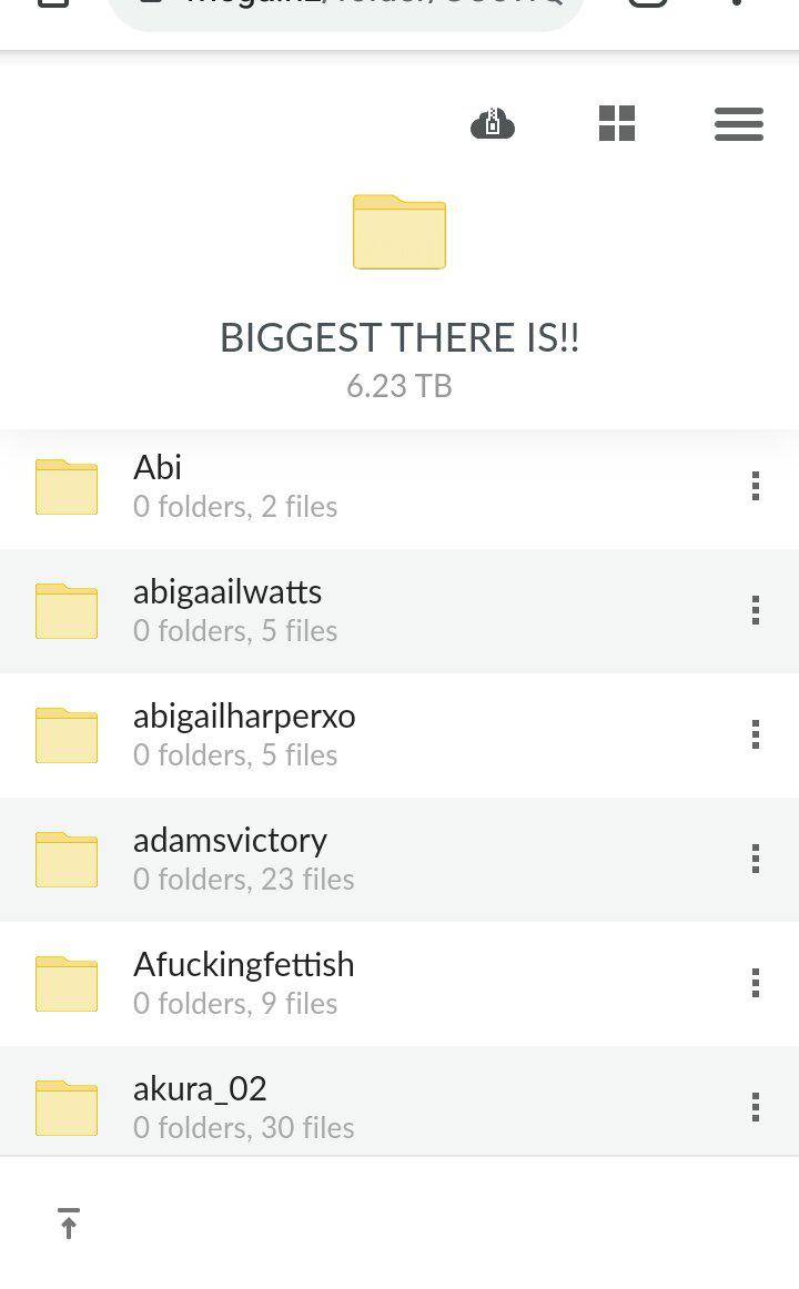 6.2Tb Mega Biggest Mega Drop Ever (mega in comments) | Scrolller