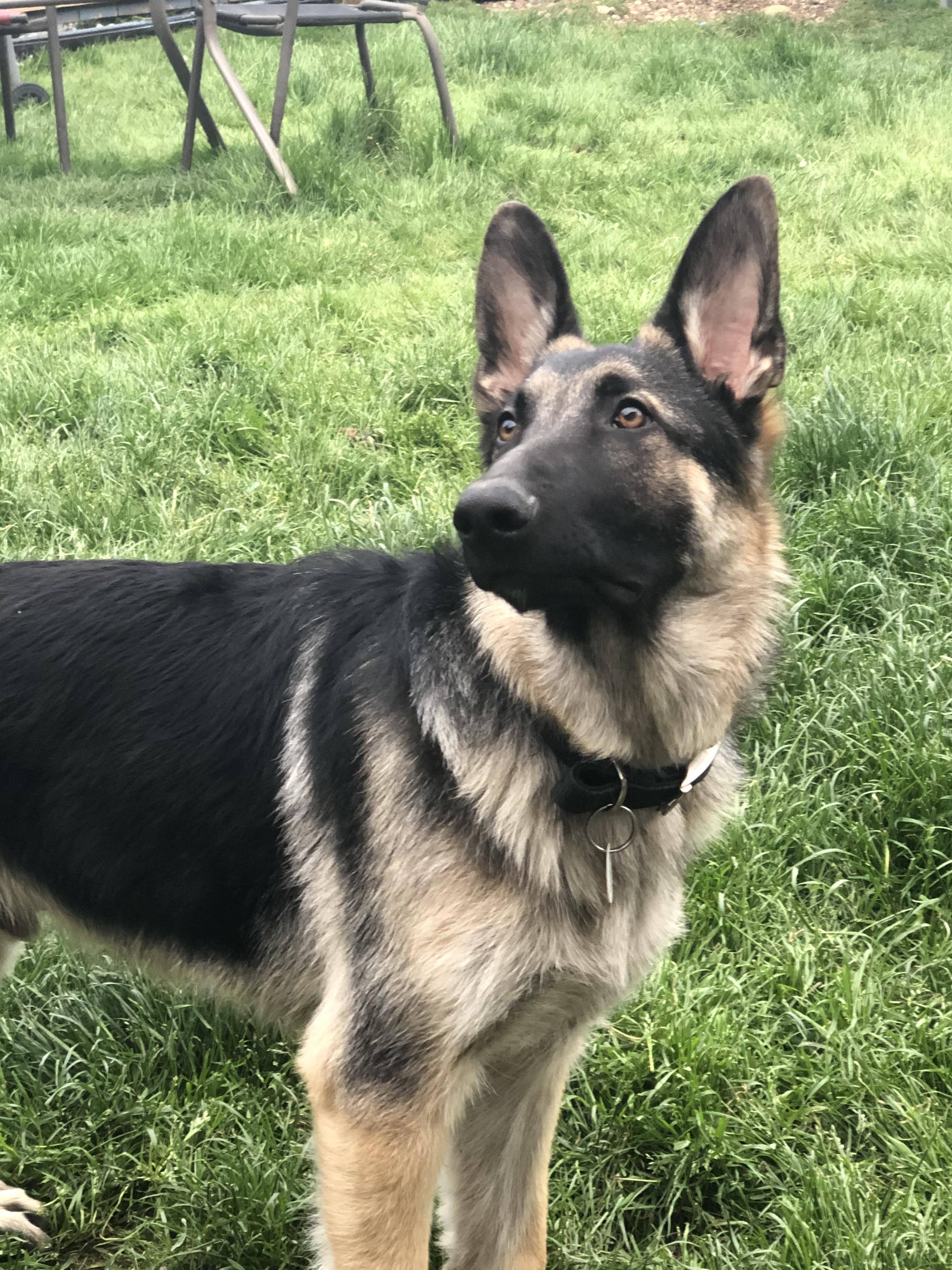 6 moths and so handsome | Scrolller