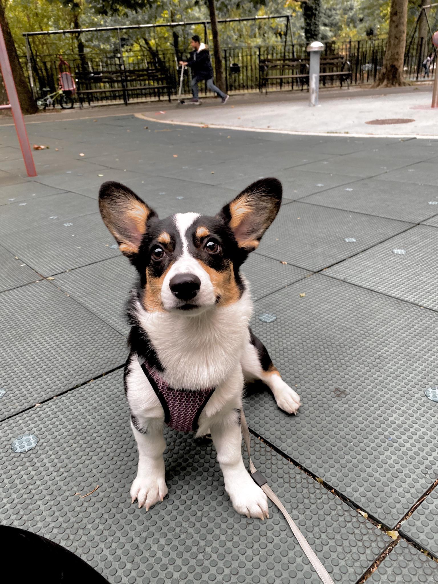 7 months | Scrolller