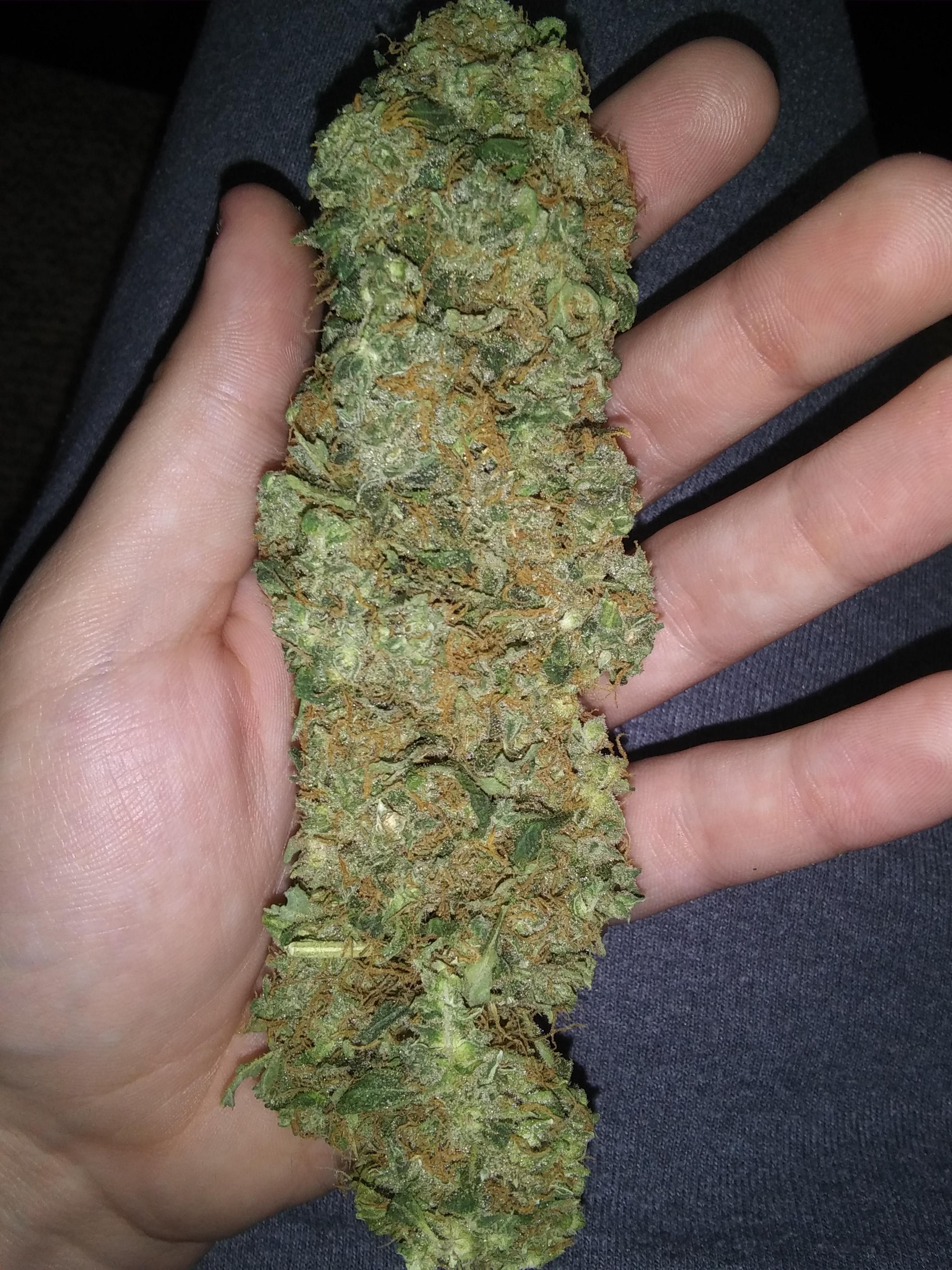 9.3g nug White Russian | Scrolller