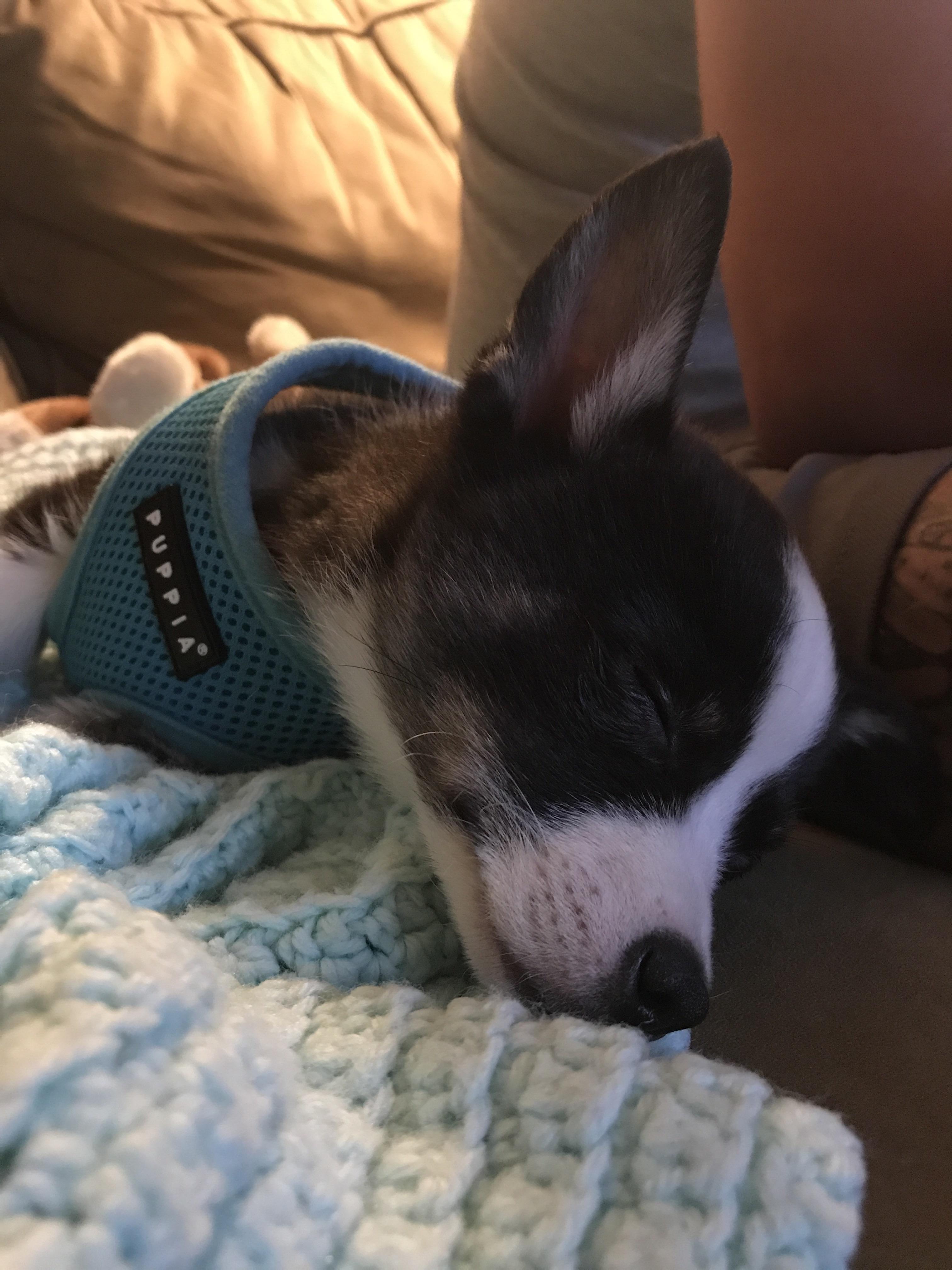 9 weeks old | Scrolller