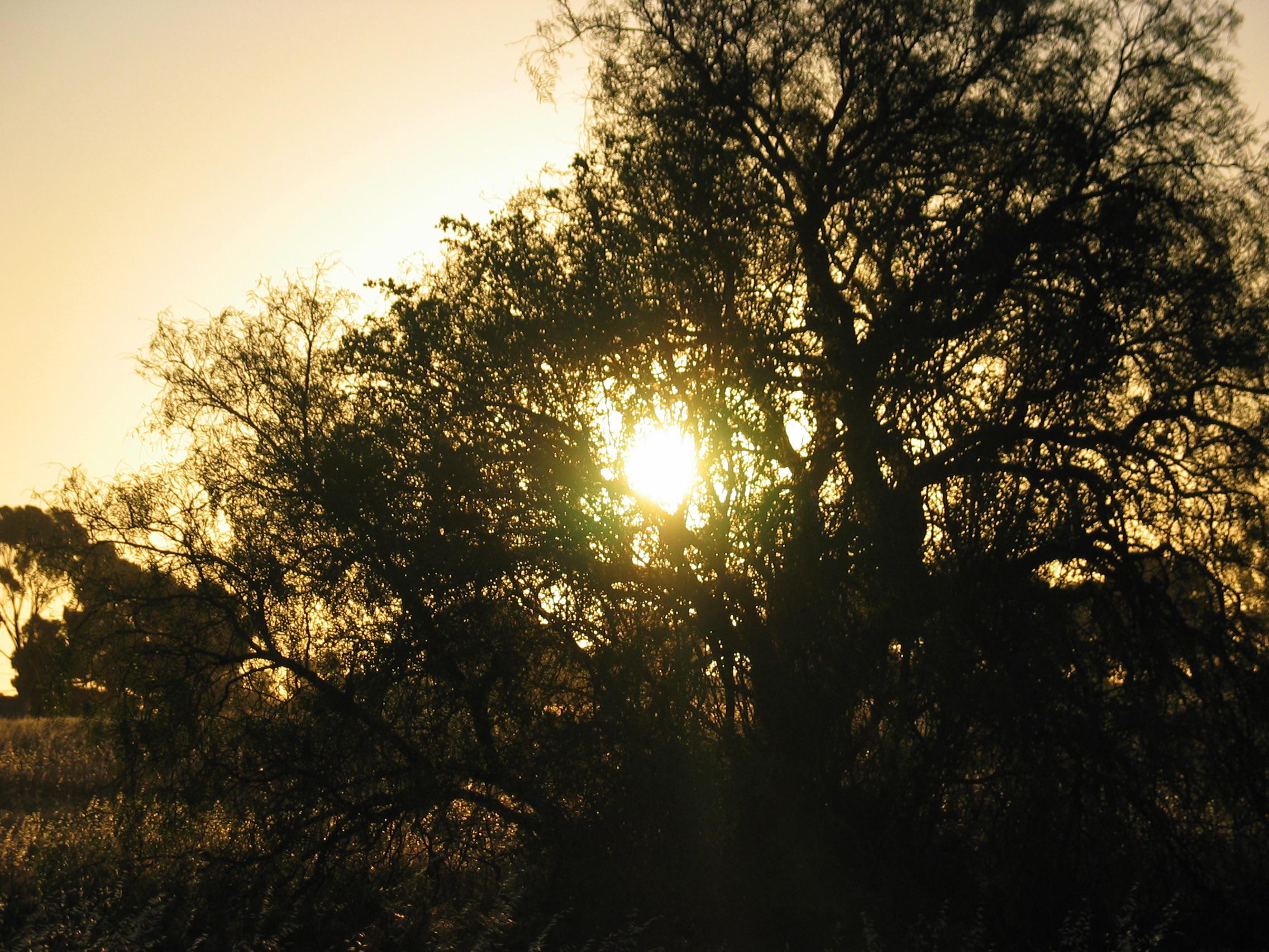 A beautiful country sunset | Scrolller