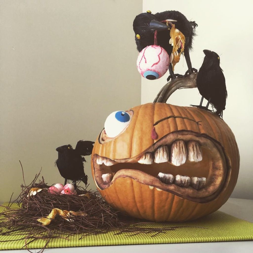 A bird's eye view. | Scrolller