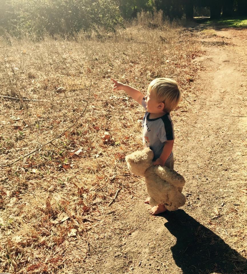 A boy and his bear | Scrolller