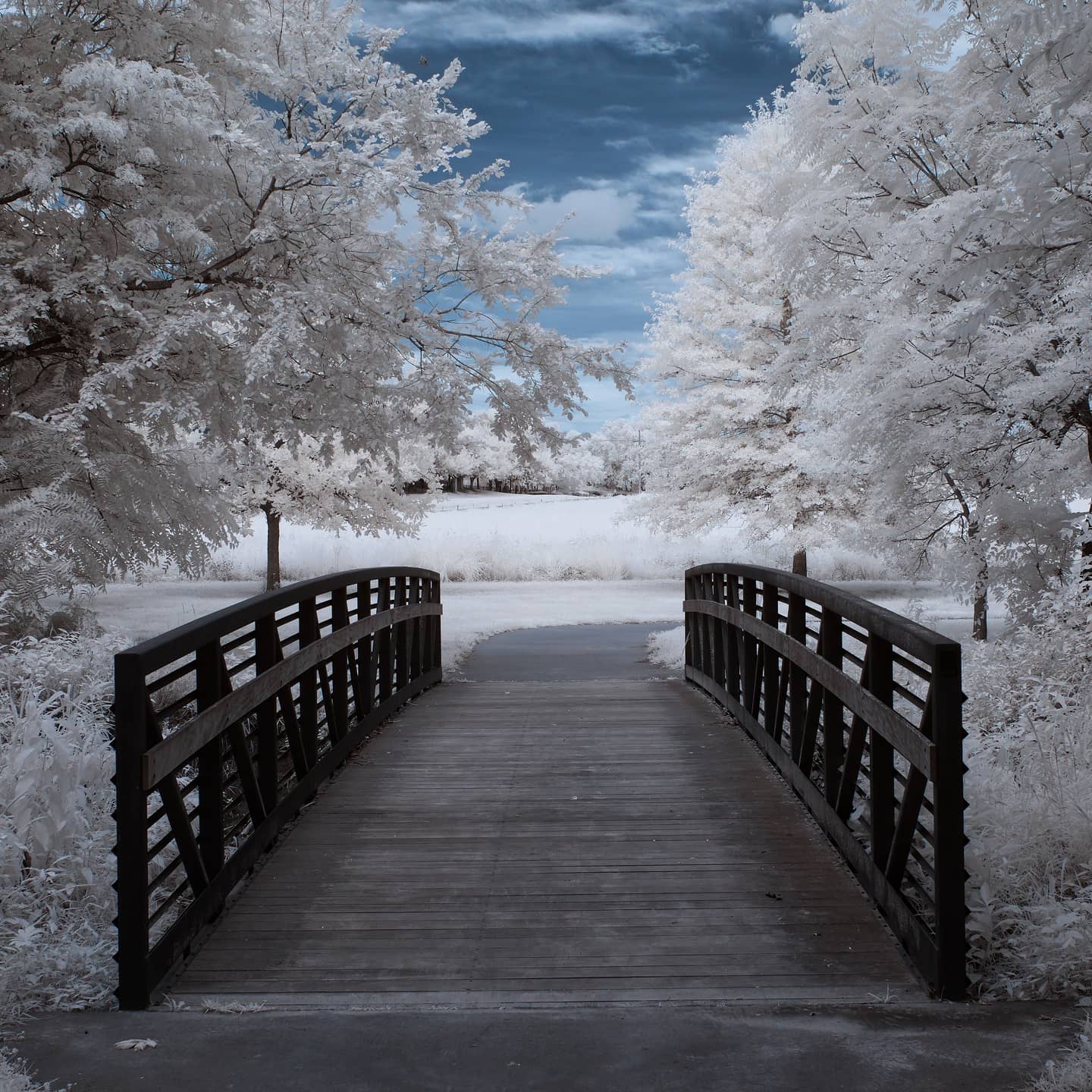 A Bridge [x-t20 full spectrum, R72 filter] | Scrolller