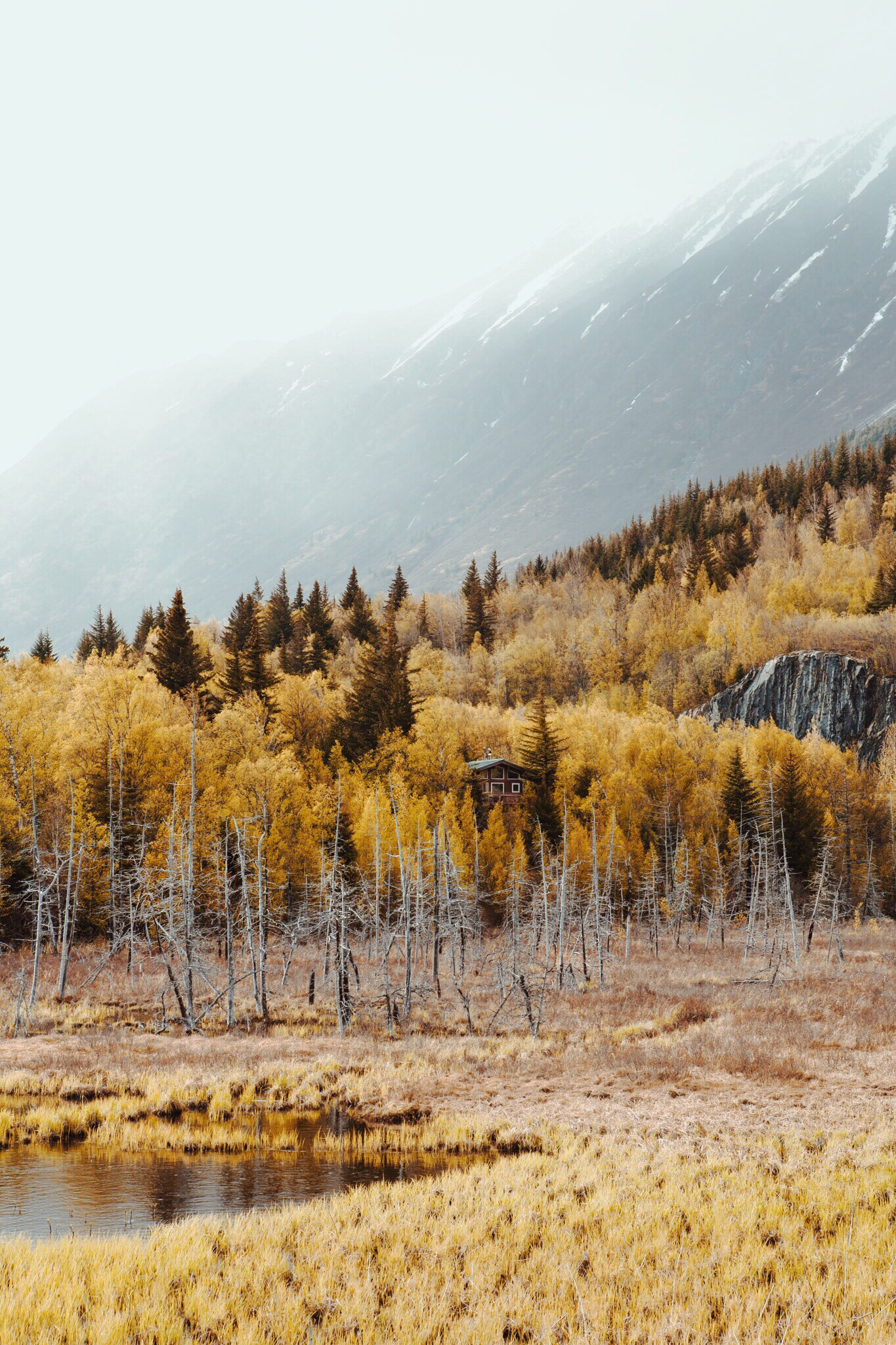 A cabin in Alaska | Scrolller