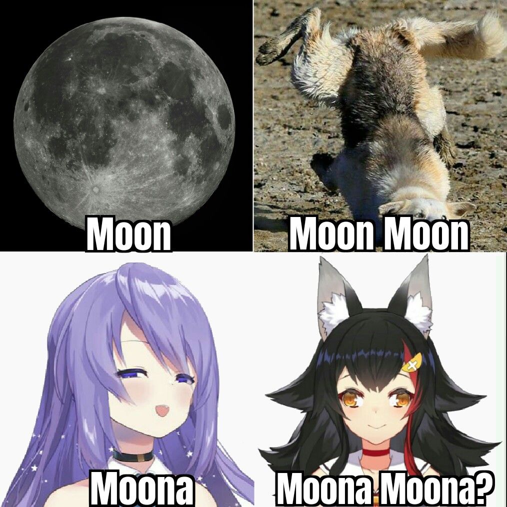 A call from ancient meme | Scrolller